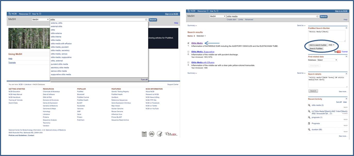 Searching Pubmed using MeSH terms - Science without sense...double nonsense