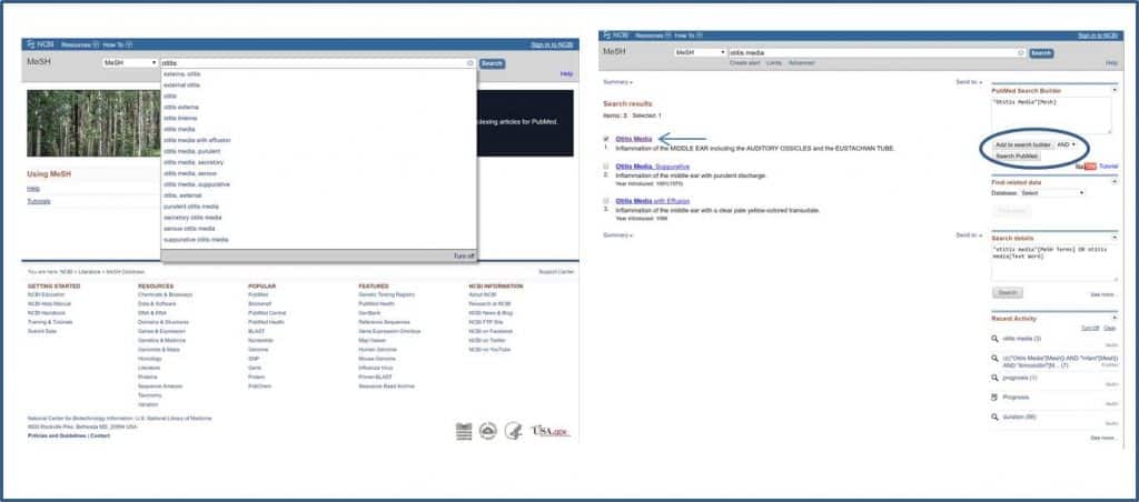 Búsqueda en Pubmed con términos MeSH - Ciencia sin seso... locura doble